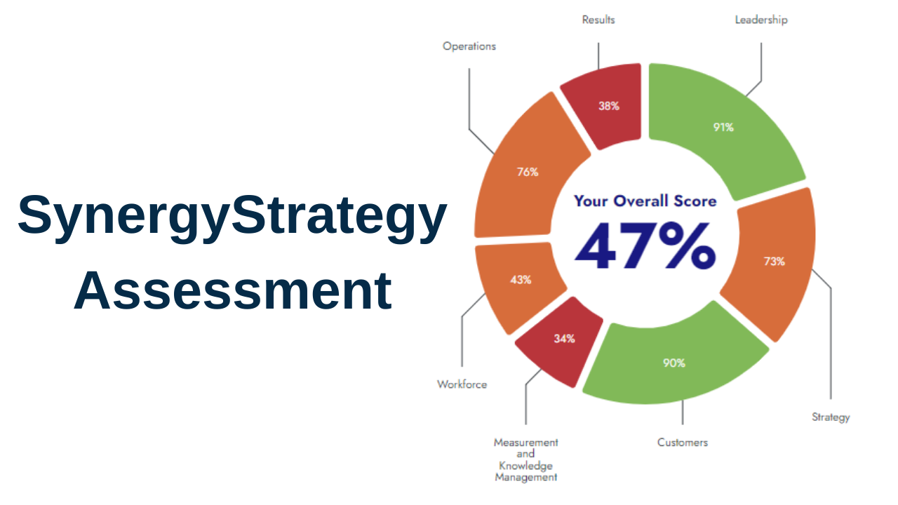 SynergyStrategy Assessment