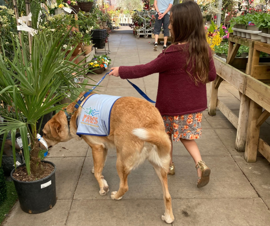 PAWS Dog Temperament Assessment