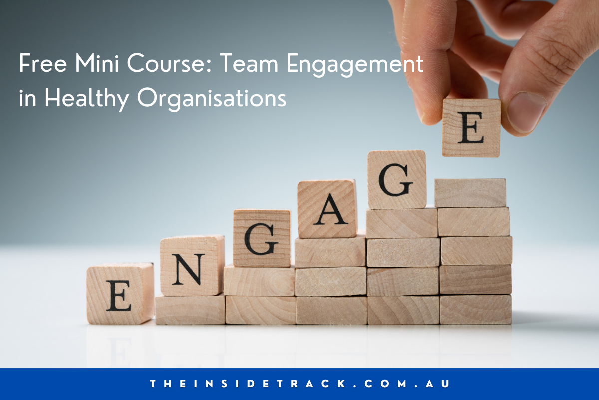 Team Engagement in Healthy Organisations