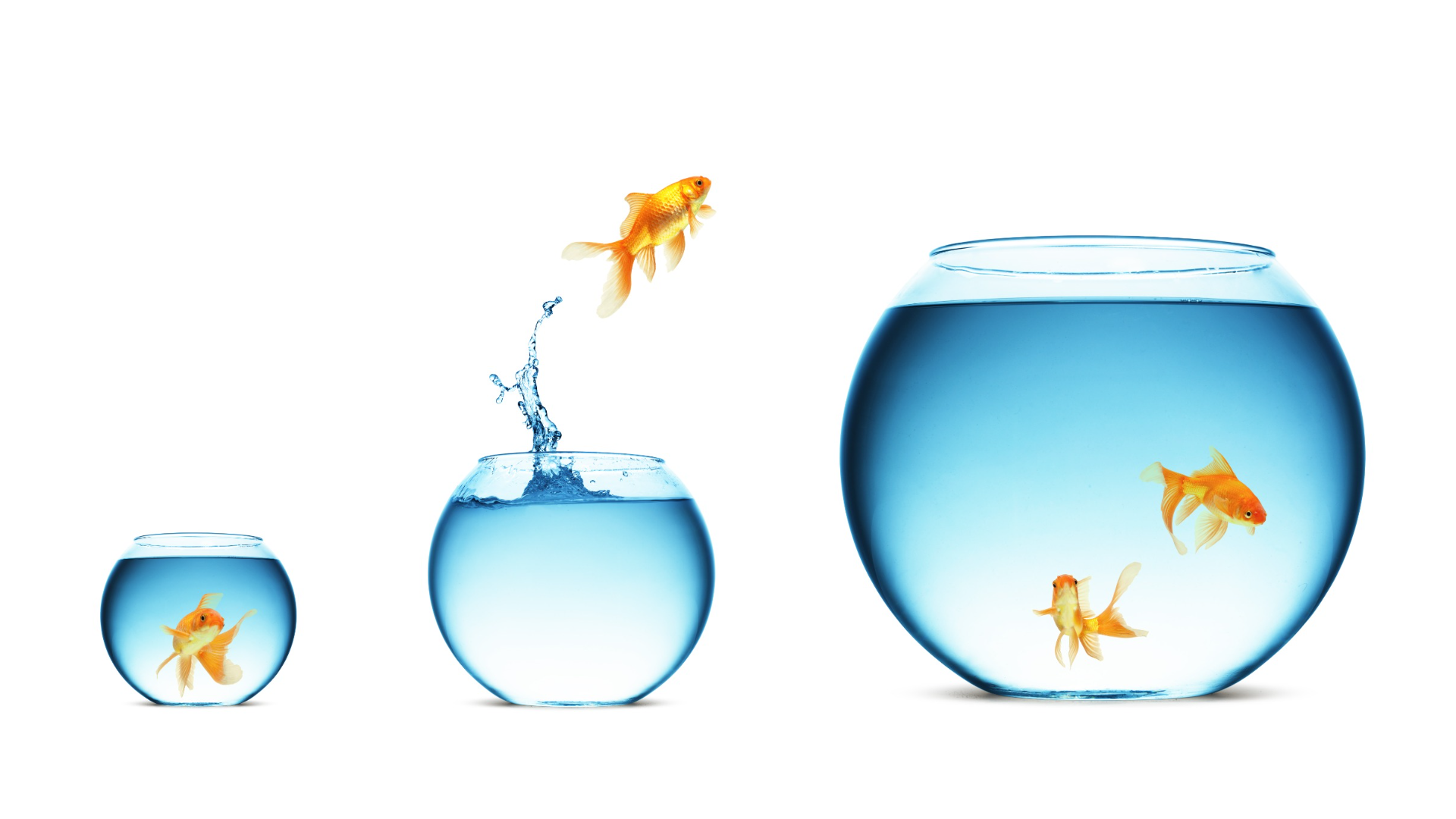 Create Your Ultimate Business Edge Scorecard