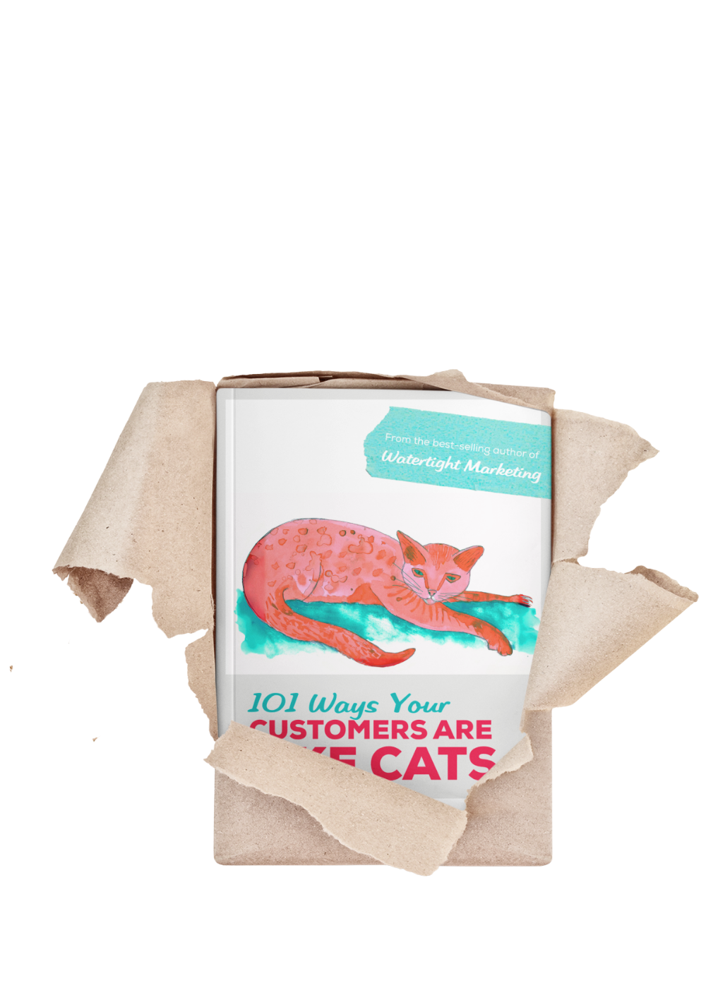 101 Cats Book