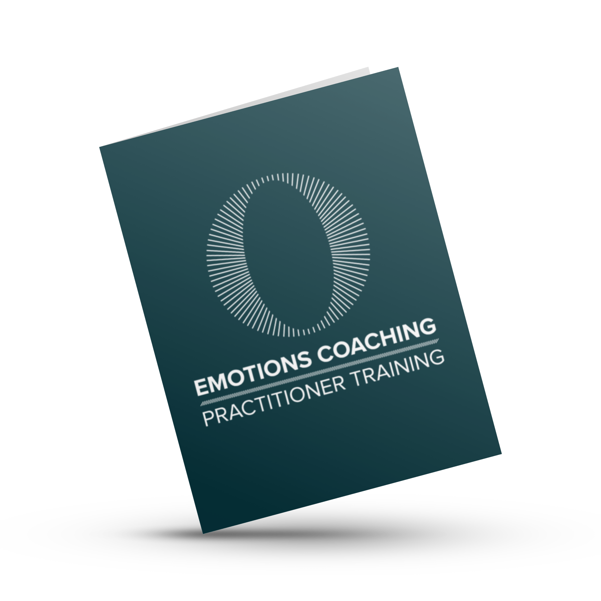 Emotions Coaching Practitioner Assessment