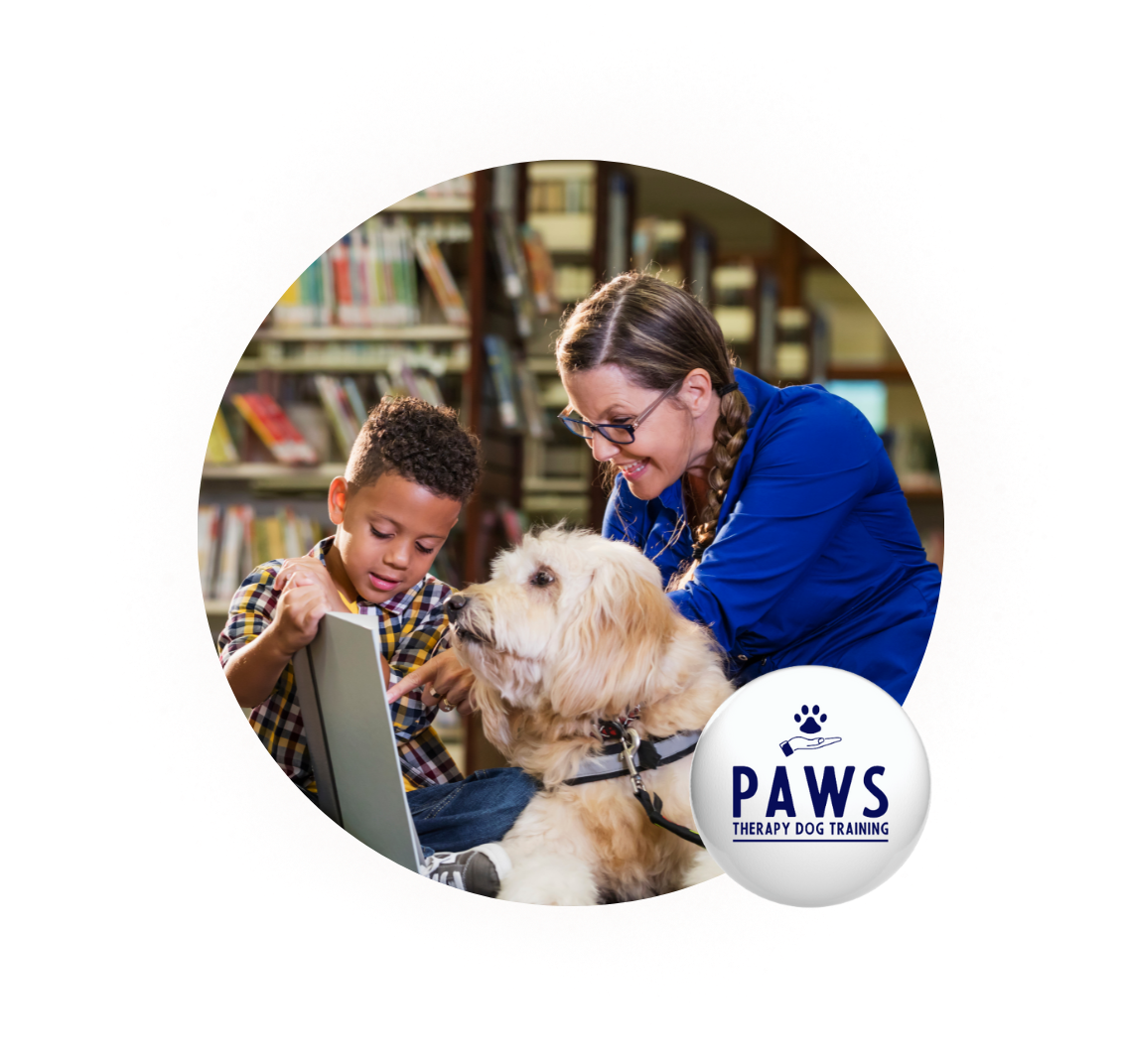 Therapy Dog Compatibility Quiz