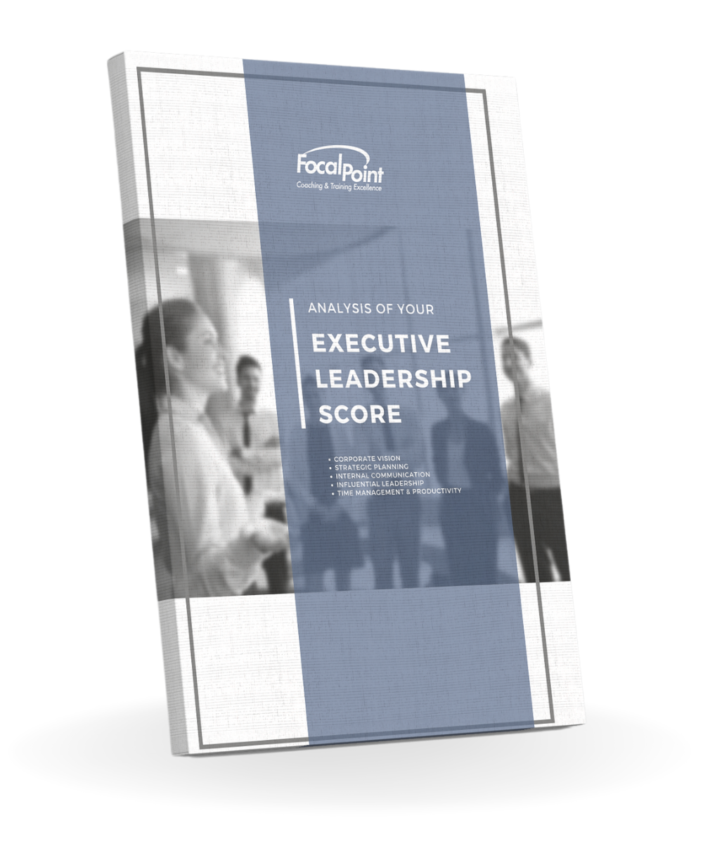 Steve Kopecky - Executive Coaching Scorecard (Self)