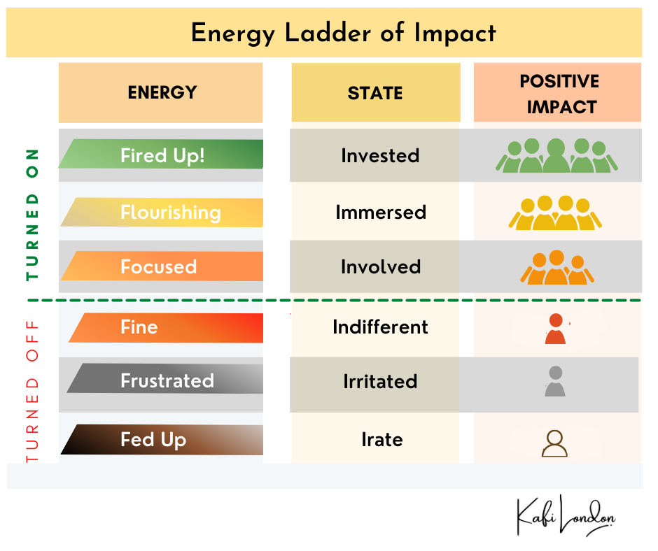 Energy Audit for Leaders