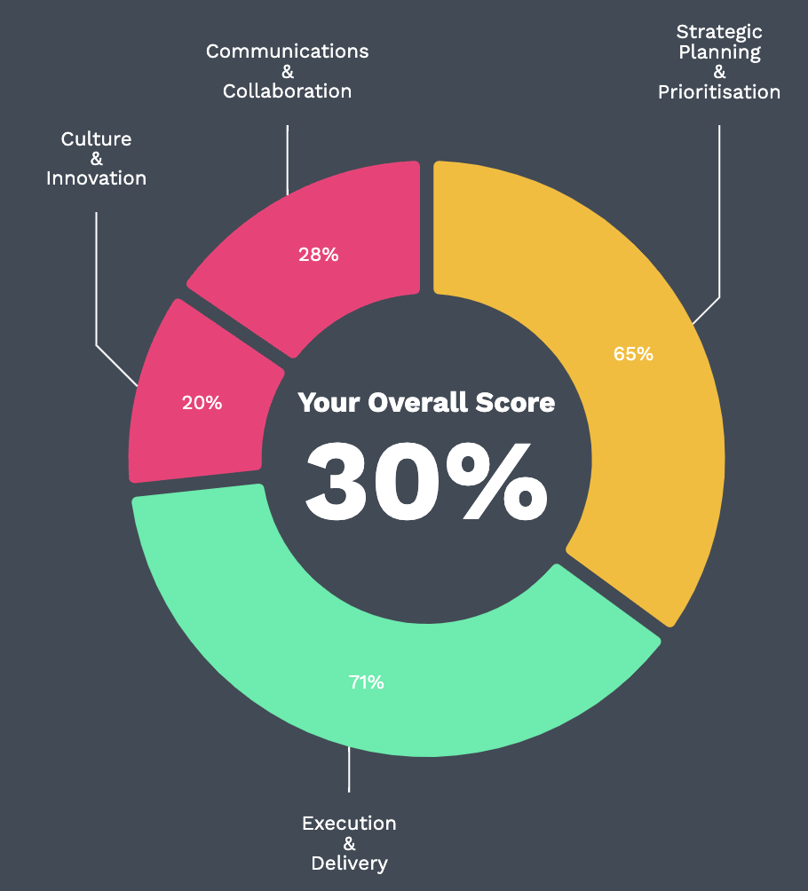 Strategy Execution Maturity Assessment