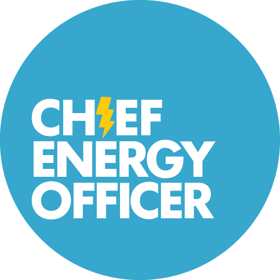 Chief Energy Officer Quiz