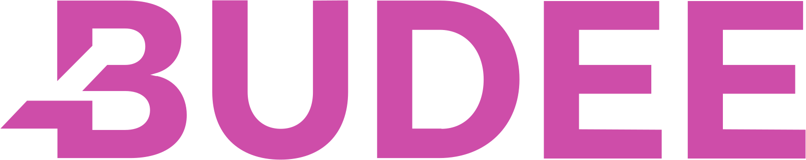 Budee - the AI Executive Coach for Your Entire Business